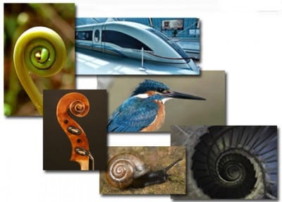 Biomimicry: How Business Solves Problems by Looking to Nature ...