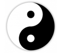 A Yin-Yang Model for Global Sustainability: Moving Towards Rural-Urban ...